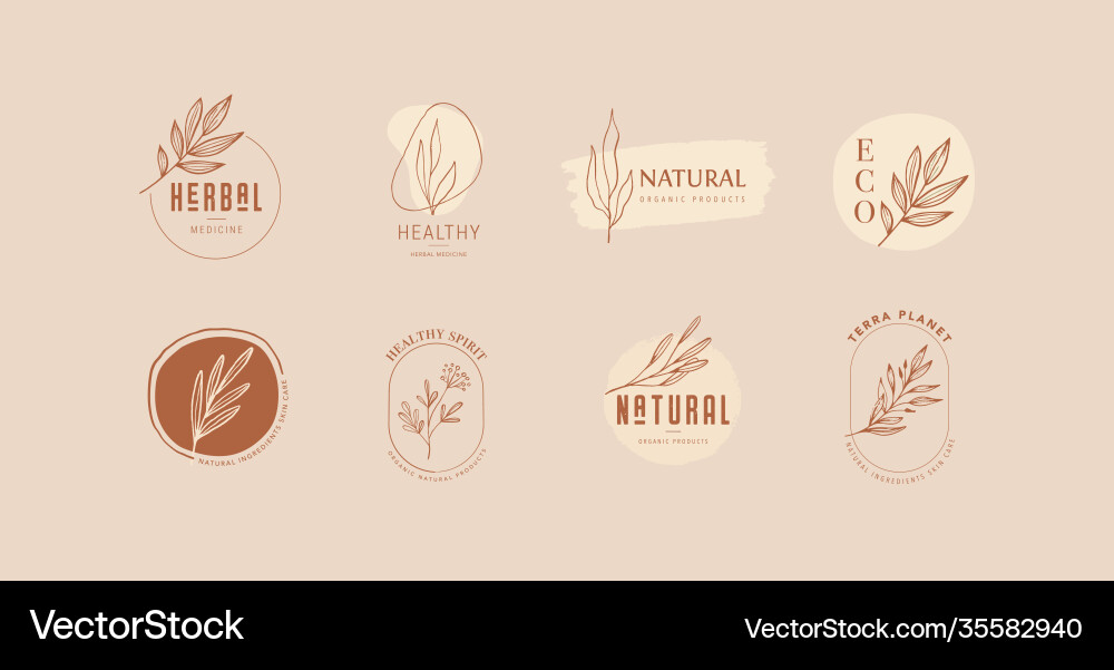 Collection delicate hand drawn logos and icons Vector Image