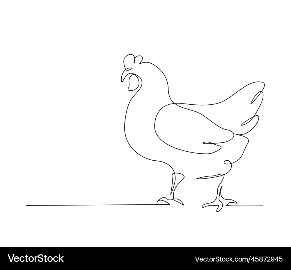 Continuous one line drawing of hen chicken Vector Image