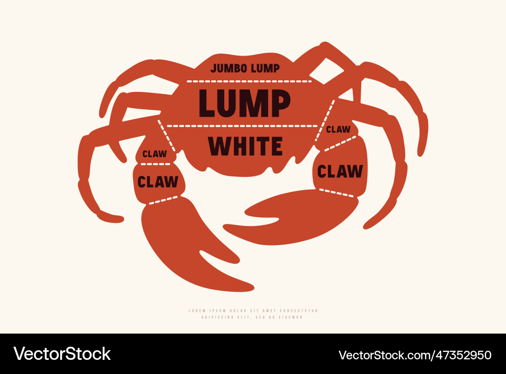 Crab cuts diagram in silhouette style Royalty Free Vector