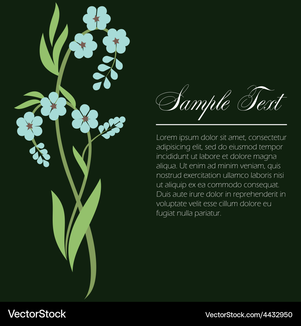 Sprig of forget-me Royalty Free Vector Image - VectorStock
