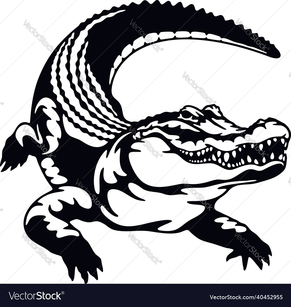 Crocodile alligator - reptiles of the wild Vector Image
