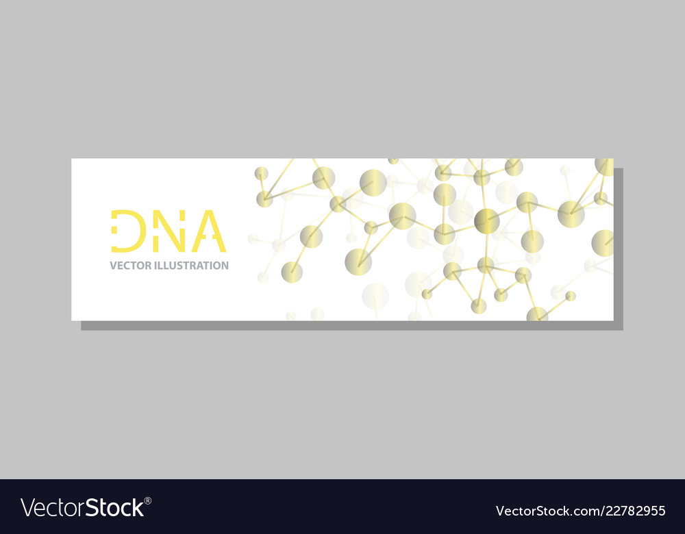 Molecular Structure With Connected Lines And Dots Vector Image