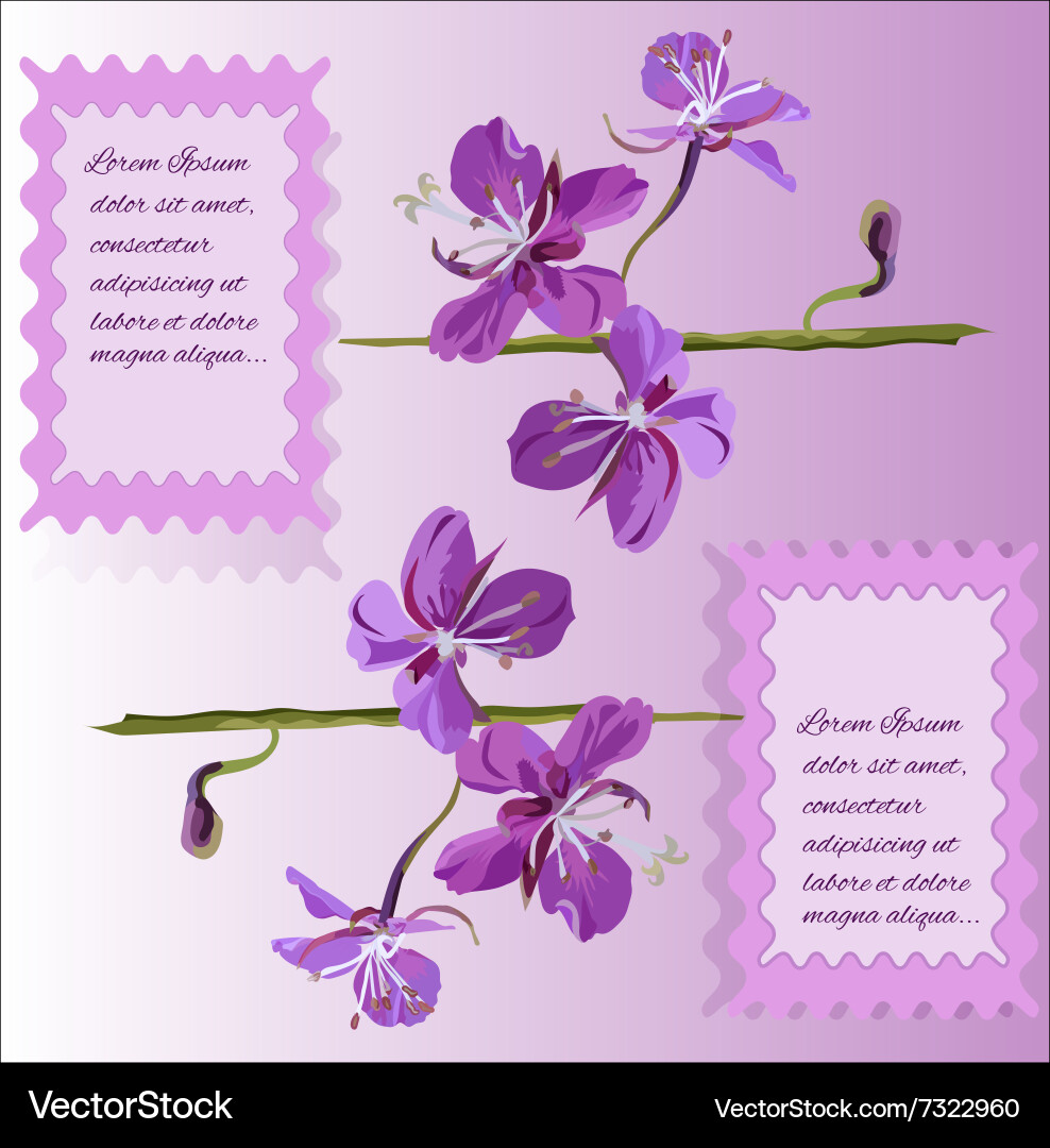 Card with purple flowers Royalty Free Vector Image