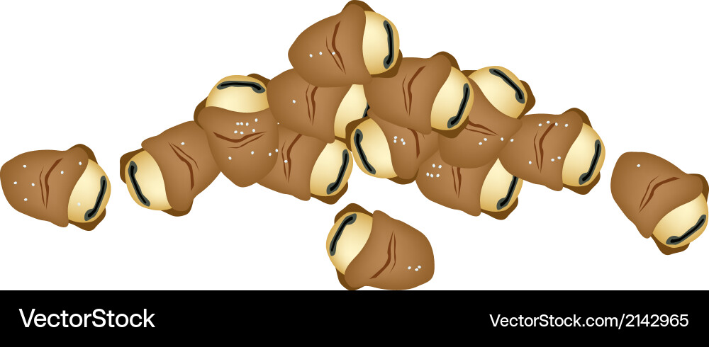 A Stack of Dried Broad Beans or European Beans Vector Image