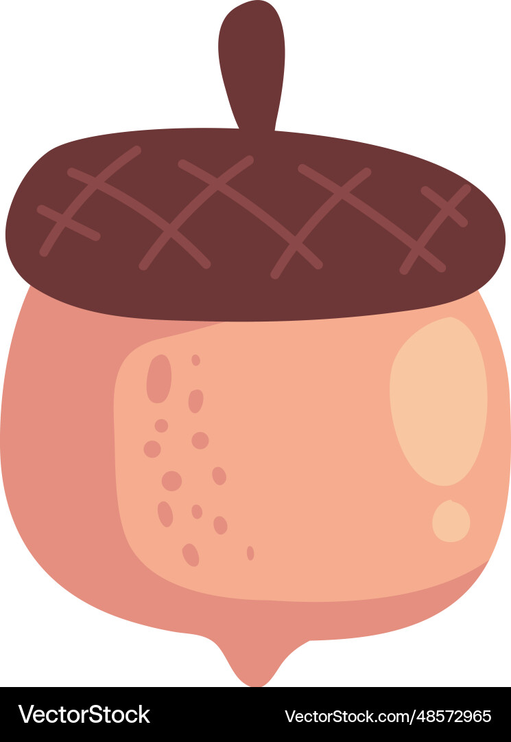 Autumn season acorn Royalty Free Vector Image - VectorStock