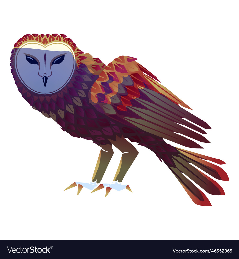 Barn owl side Royalty Free Vector Image - VectorStock
