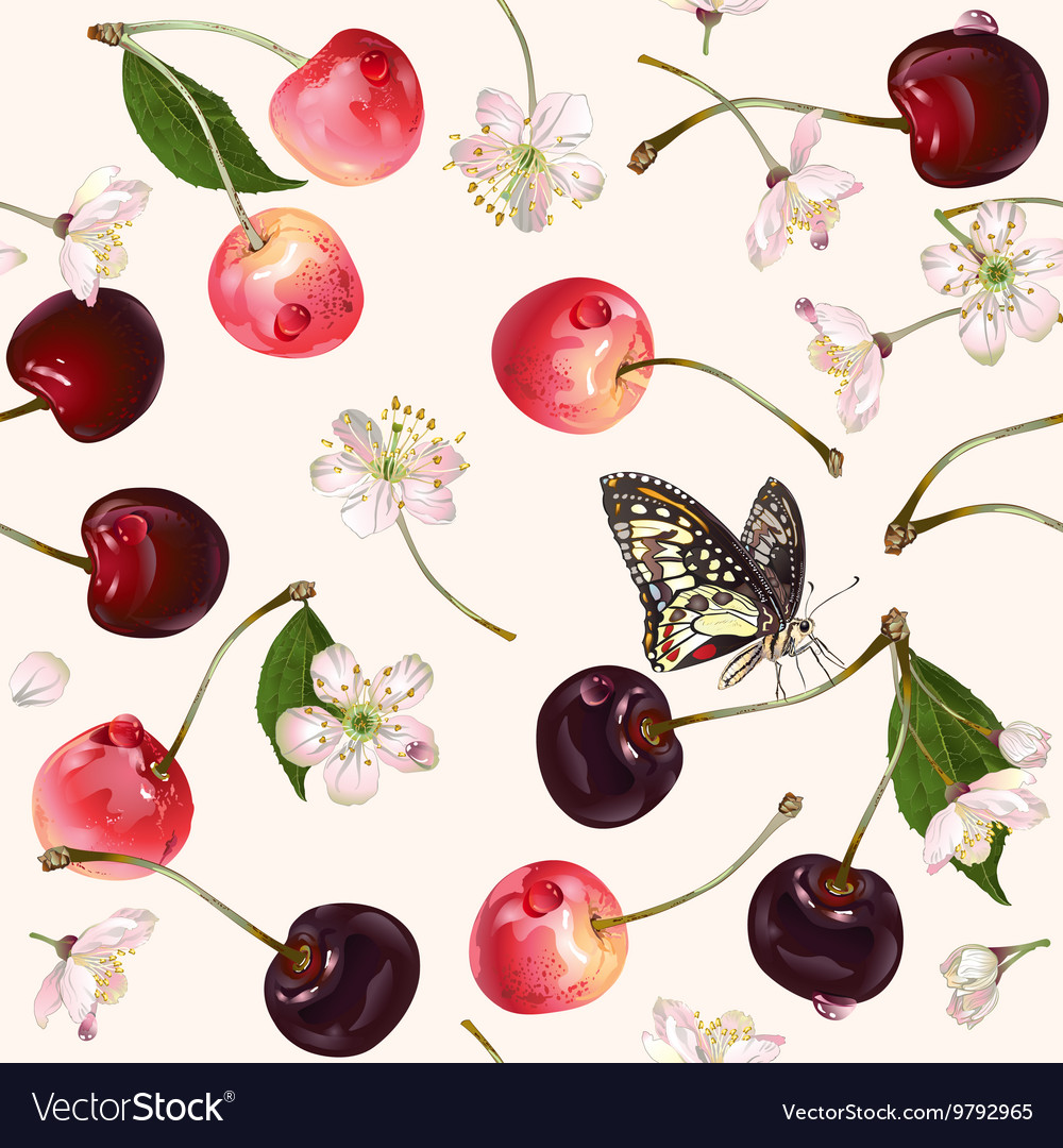 Cherry seamless pattern Royalty Free Vector Image