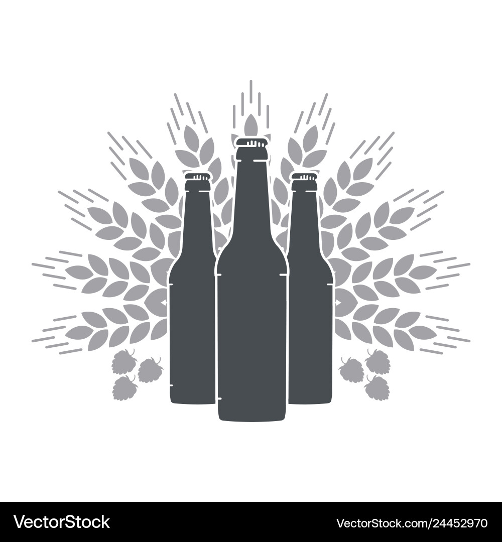 Beer bottles wheat ears and malt Royalty Free Vector Image