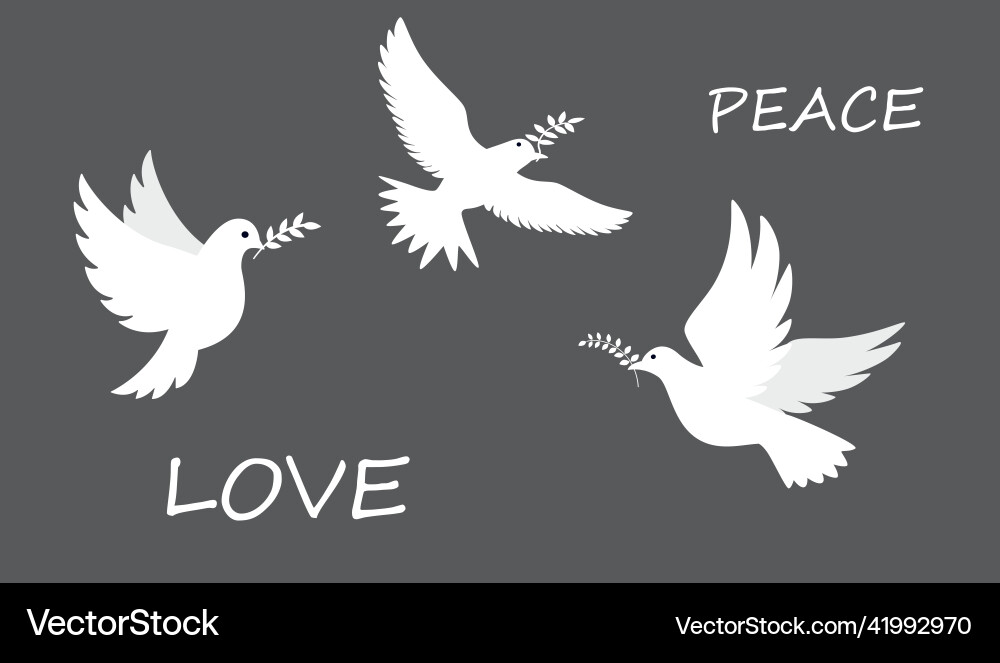 Dove of peace Royalty Free Vector Image - VectorStock