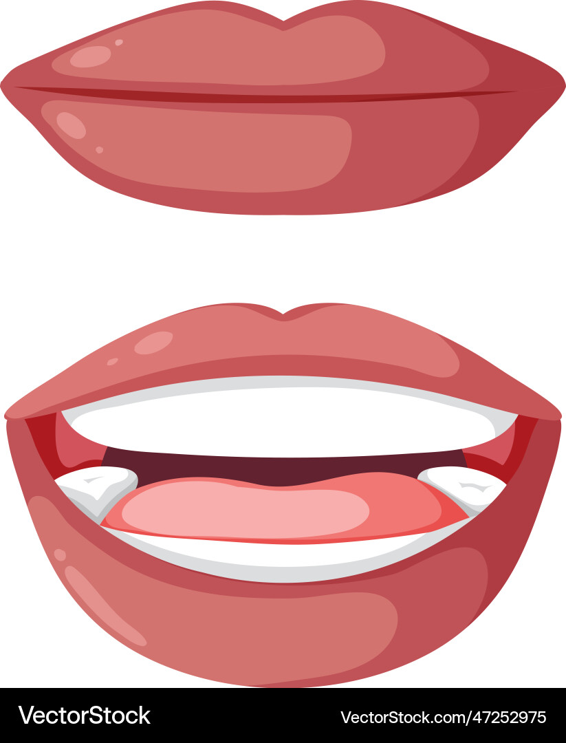 Close up human lips Royalty Free Vector Image - VectorStock