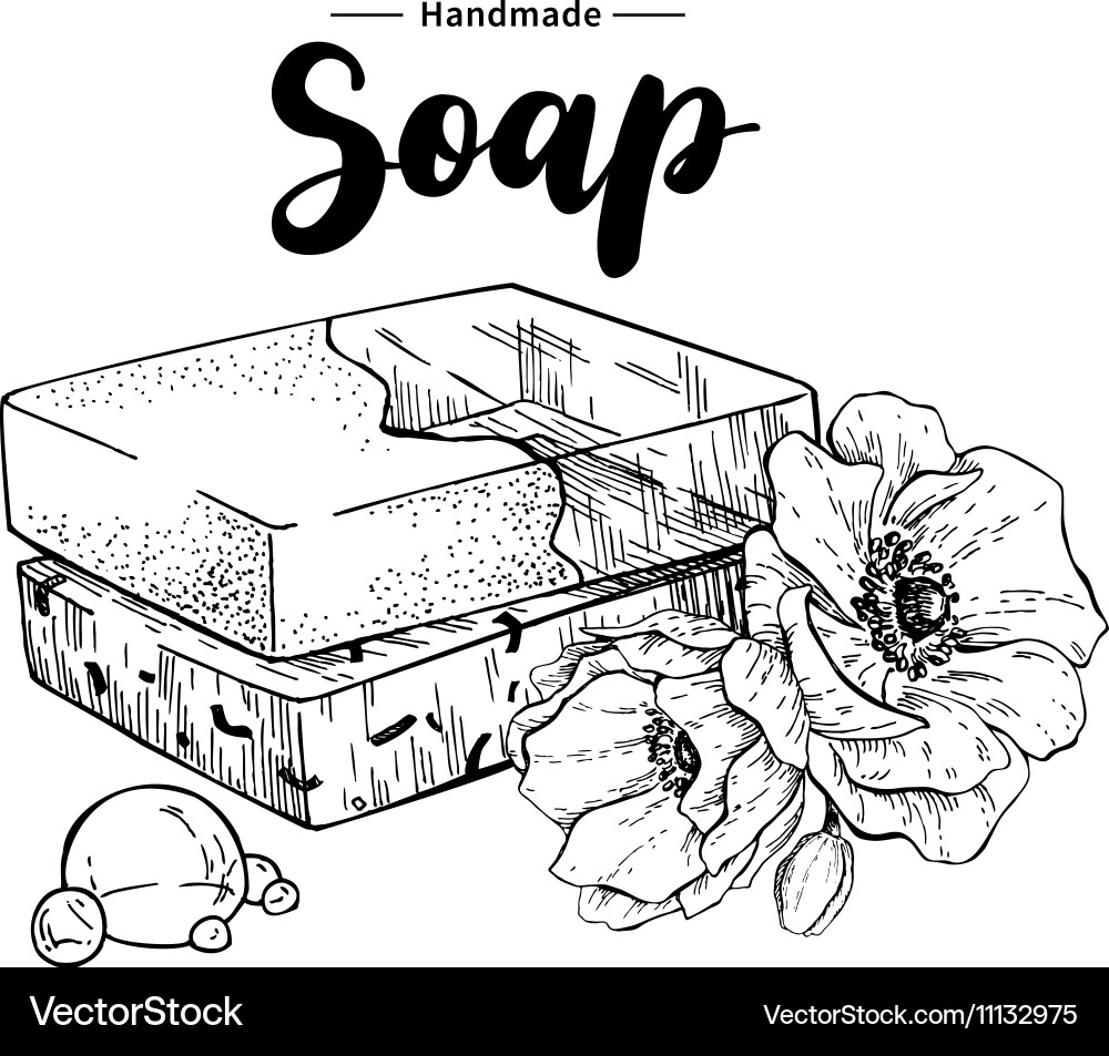 Handmade natural soap hand drawn organic Vector Image