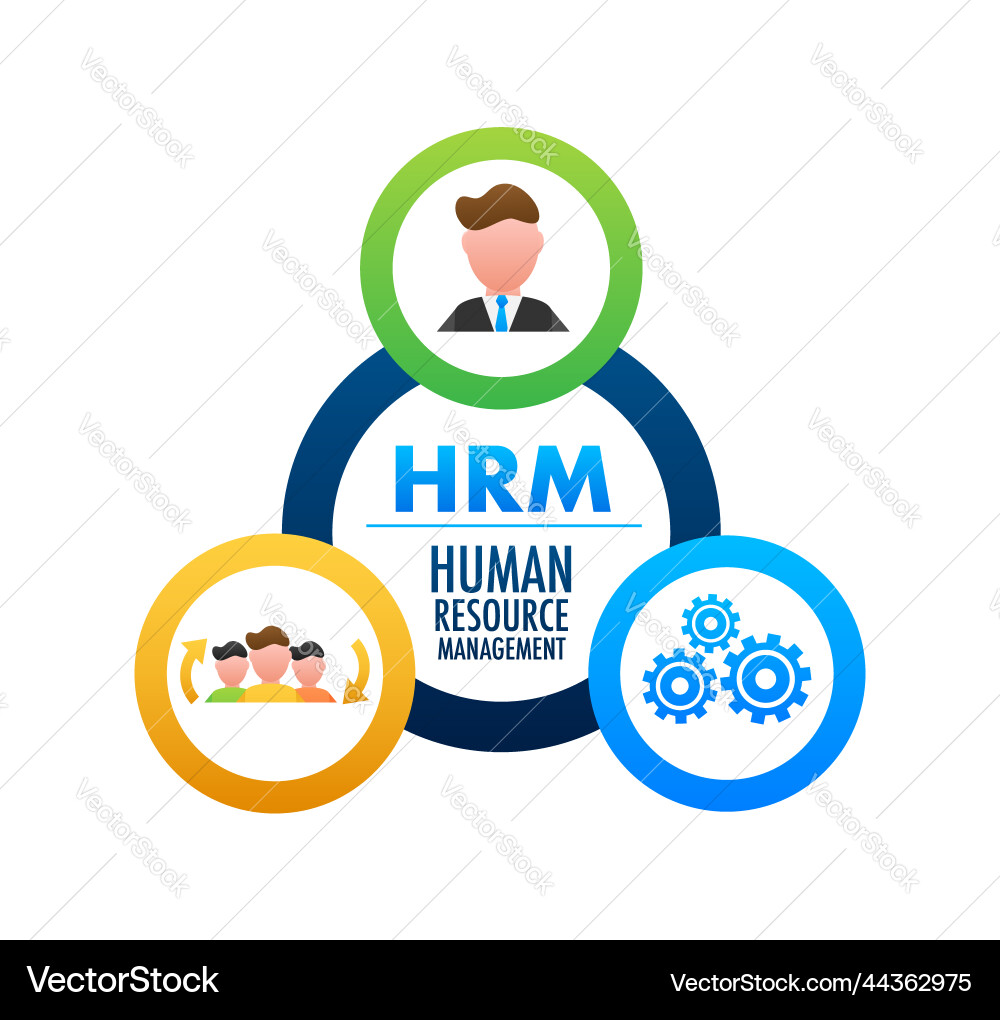 Hrm human resource management icon label badge Vector Image