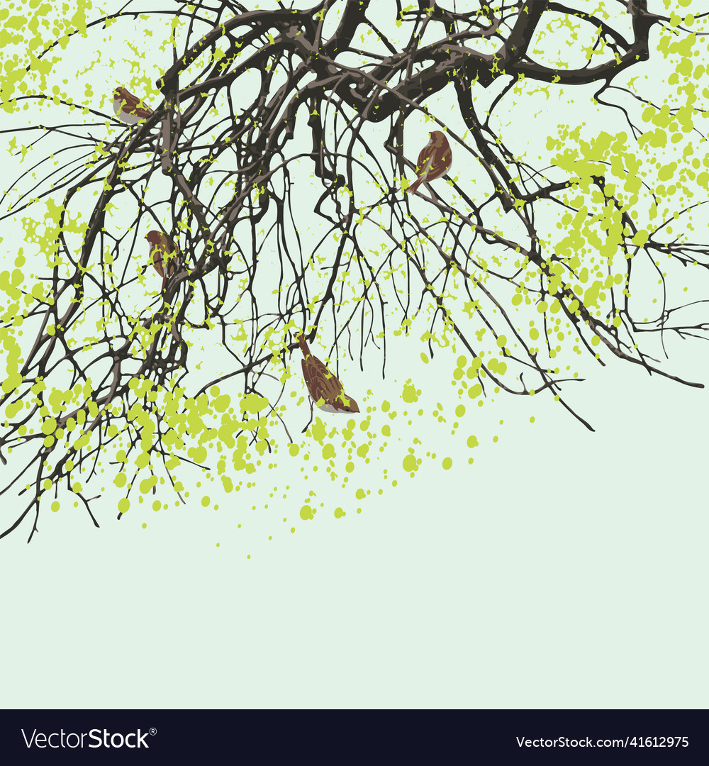 Spring with tree branches and birds Royalty Free Vector