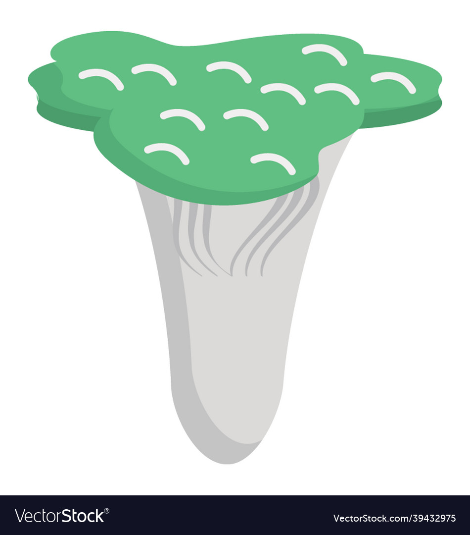 Toadstool Royalty Free Vector Image - VectorStock