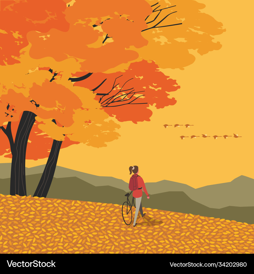 Autumn mountain valley sport activity poster Vector Image