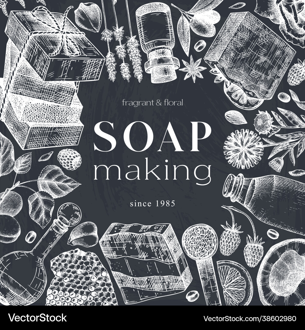 Hand-made soap ingredients design hand-sketched Vector Image