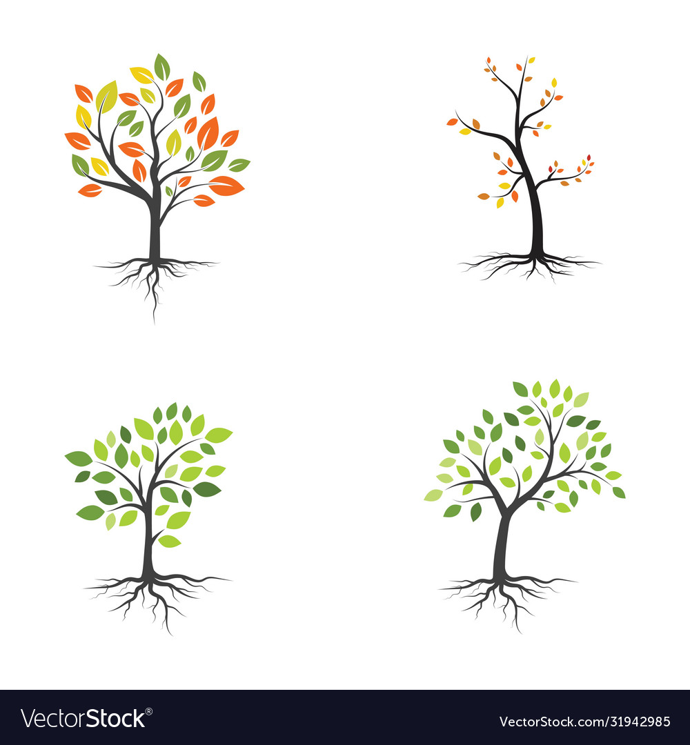 Tree branch design Royalty Free Vector Image - VectorStock