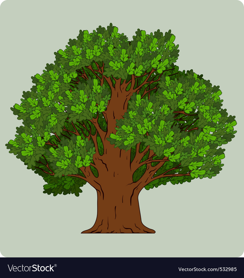 Tree Royalty Free Vector Image - VectorStock