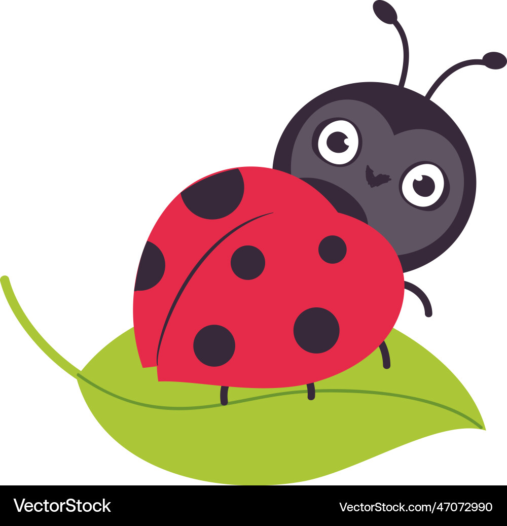 Cute little ladybug insect sitting on leaf cartoon