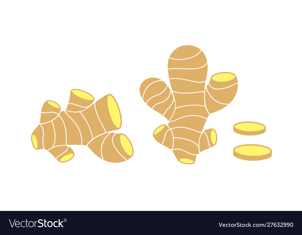 Ginger Royalty Free Vector Image - VectorStock