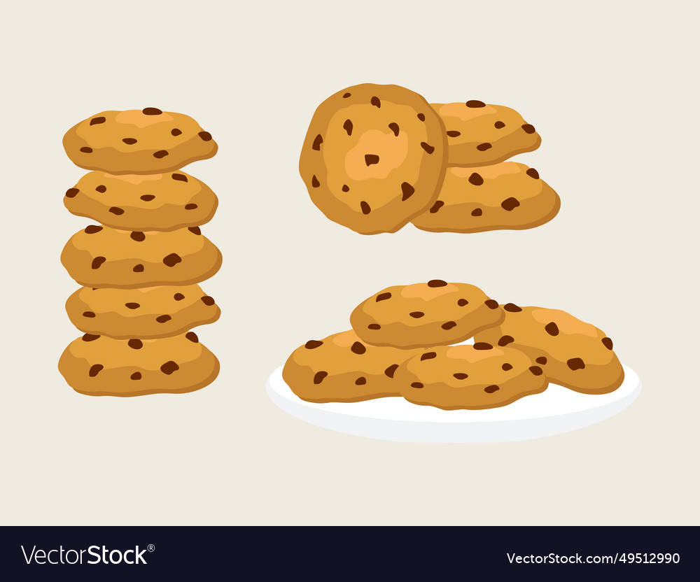 Traditional cookies with chocolate crisps Vector Image
