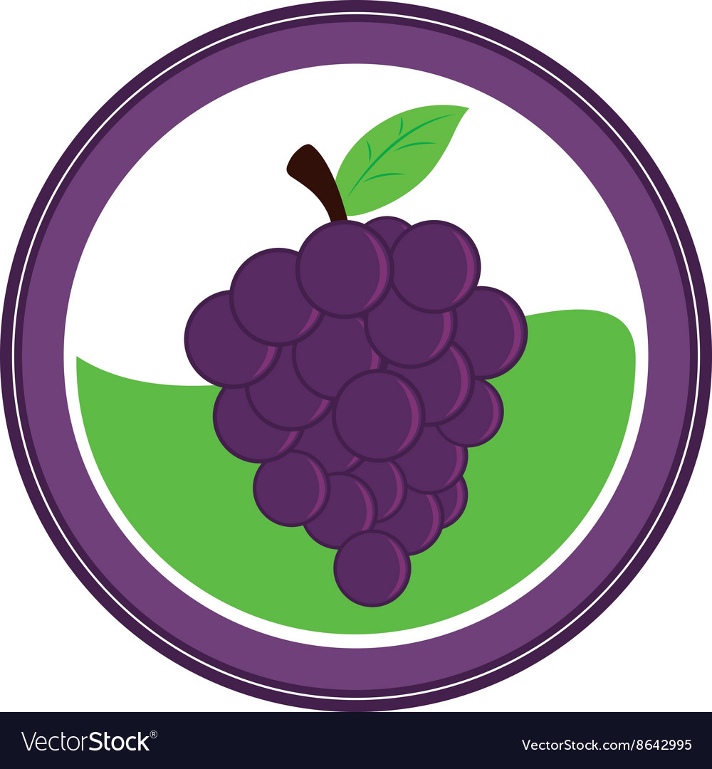 Fruit Royalty Free Vector Image - VectorStock