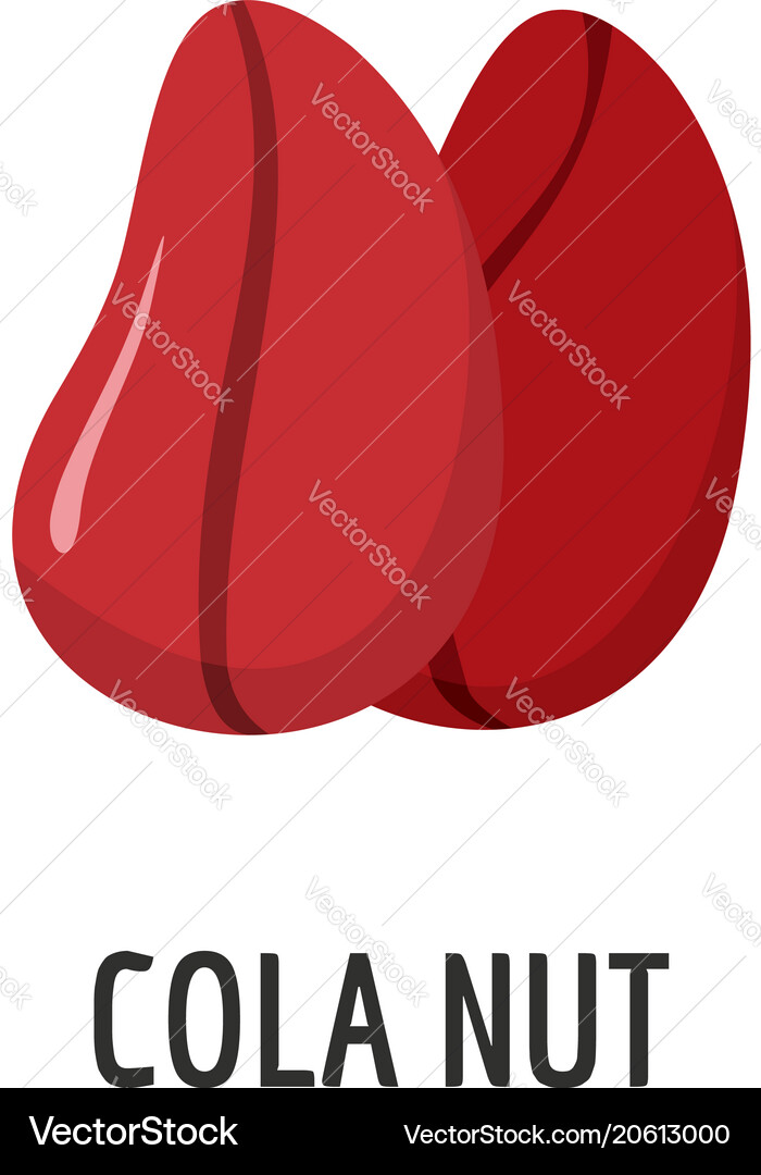 Cola nut icon flat style Royalty Free Vector Image