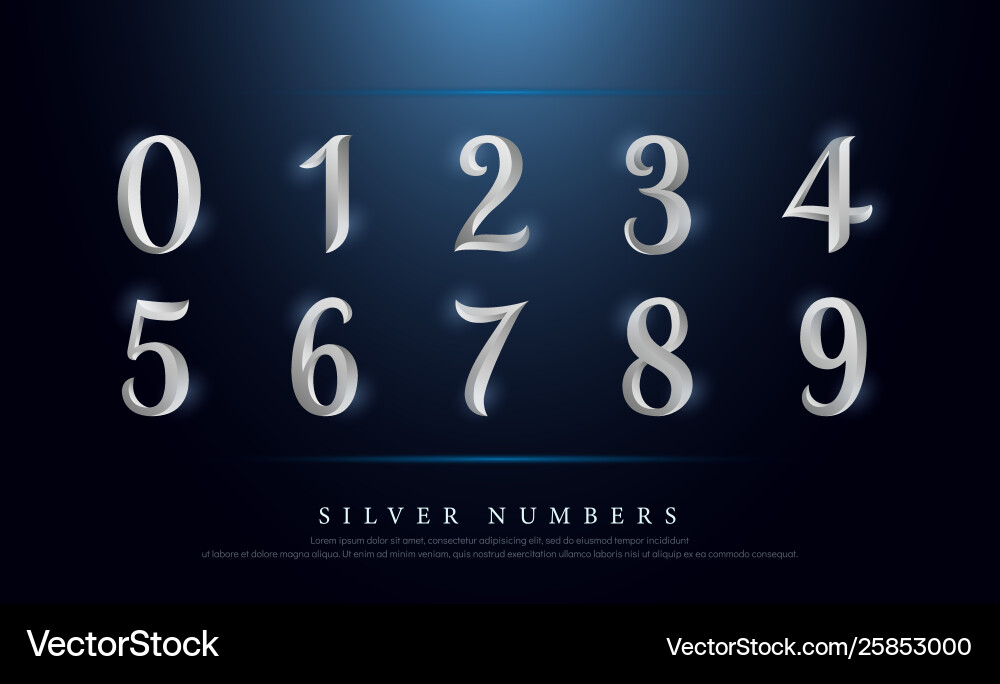 Elegant numbers silver colored metal chrome Vector Image