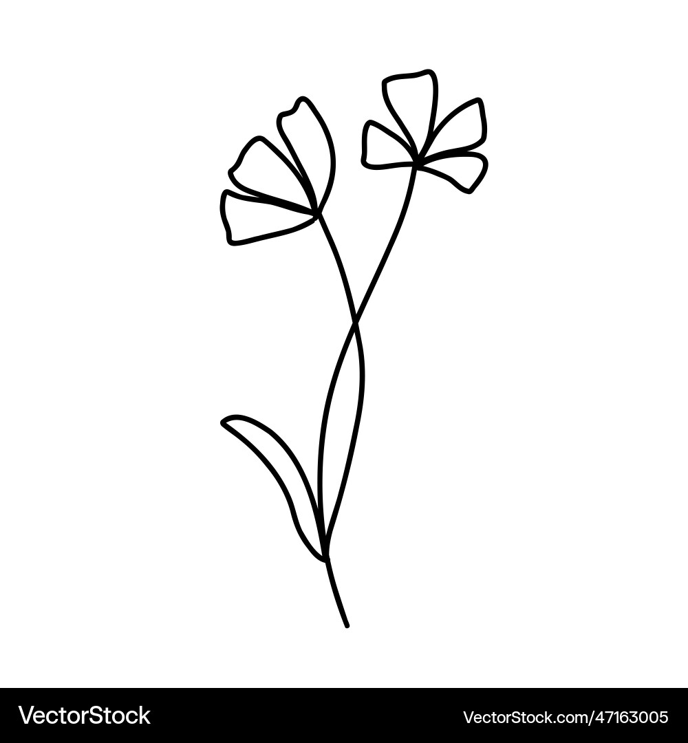 Hand drawn wildflower outline flower Royalty Free Vector