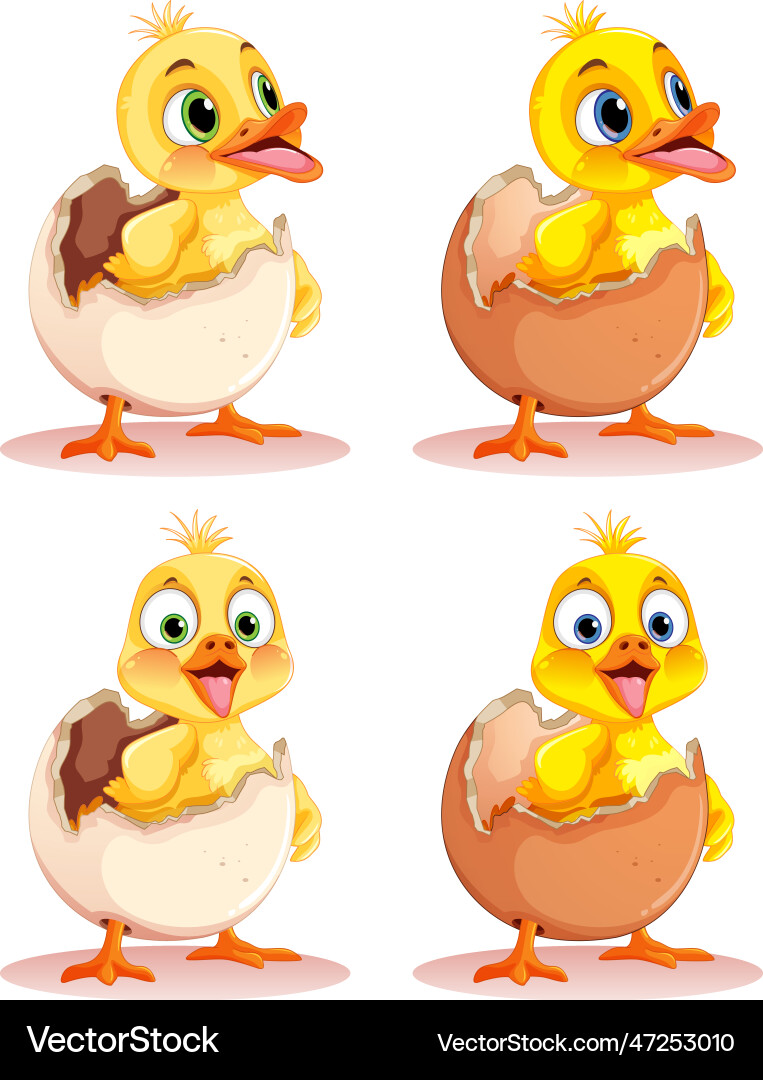 Adorable little duck character collection Vector Image