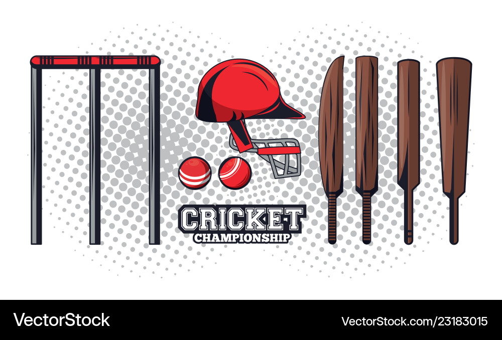 Cricket equipment player Royalty Free Vector Image