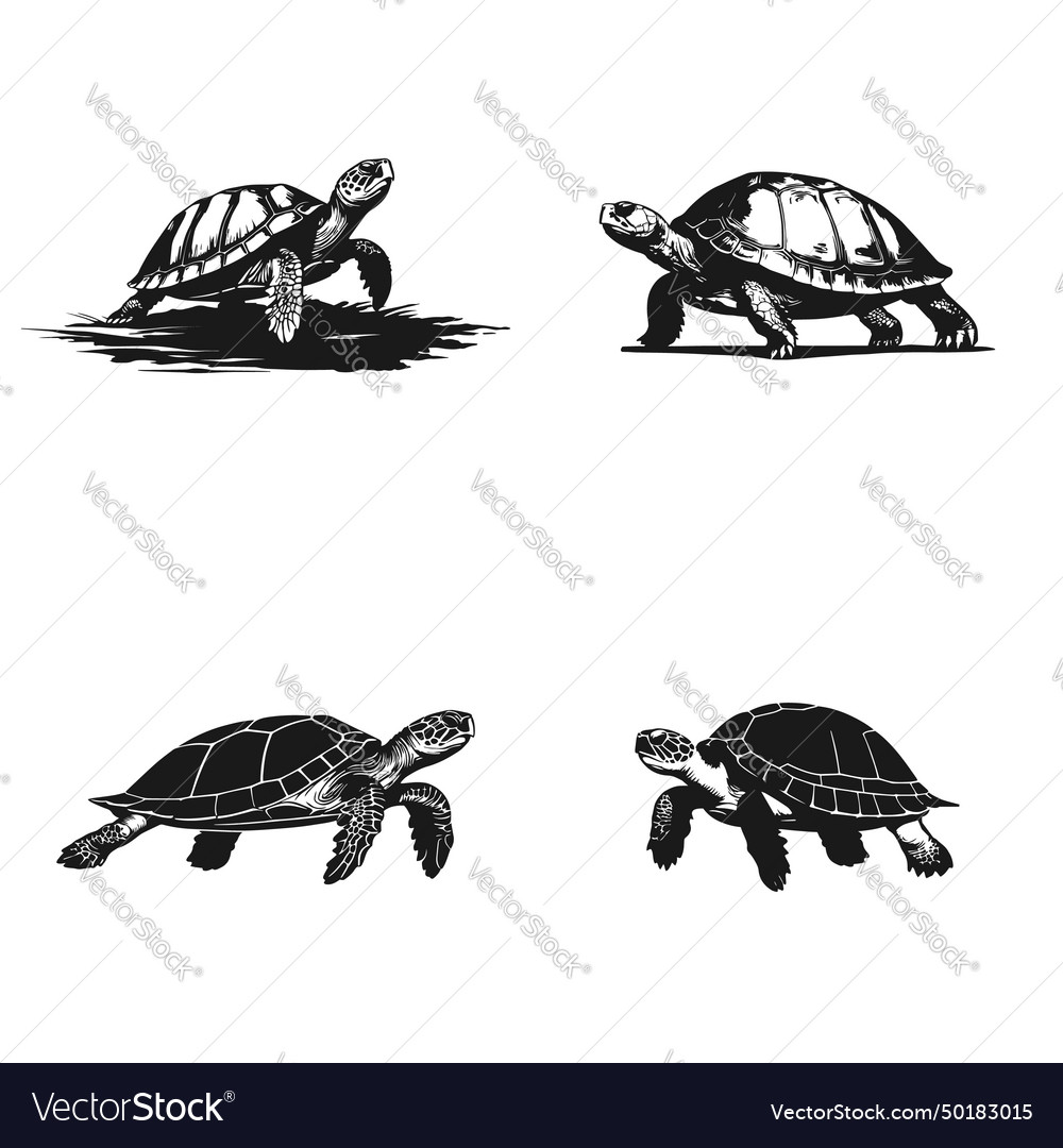 Turtle logo icon set premium silhouettes design Vector Image