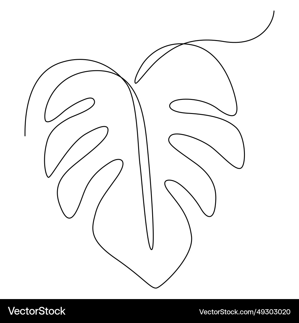 Continuous one line drawing of monstera leaf Vector Image