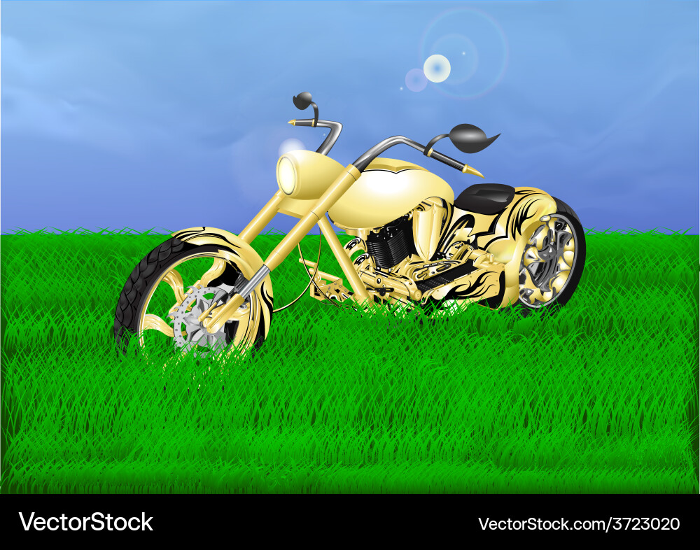 Gold chopper on a green meadow Royalty Free Vector Image