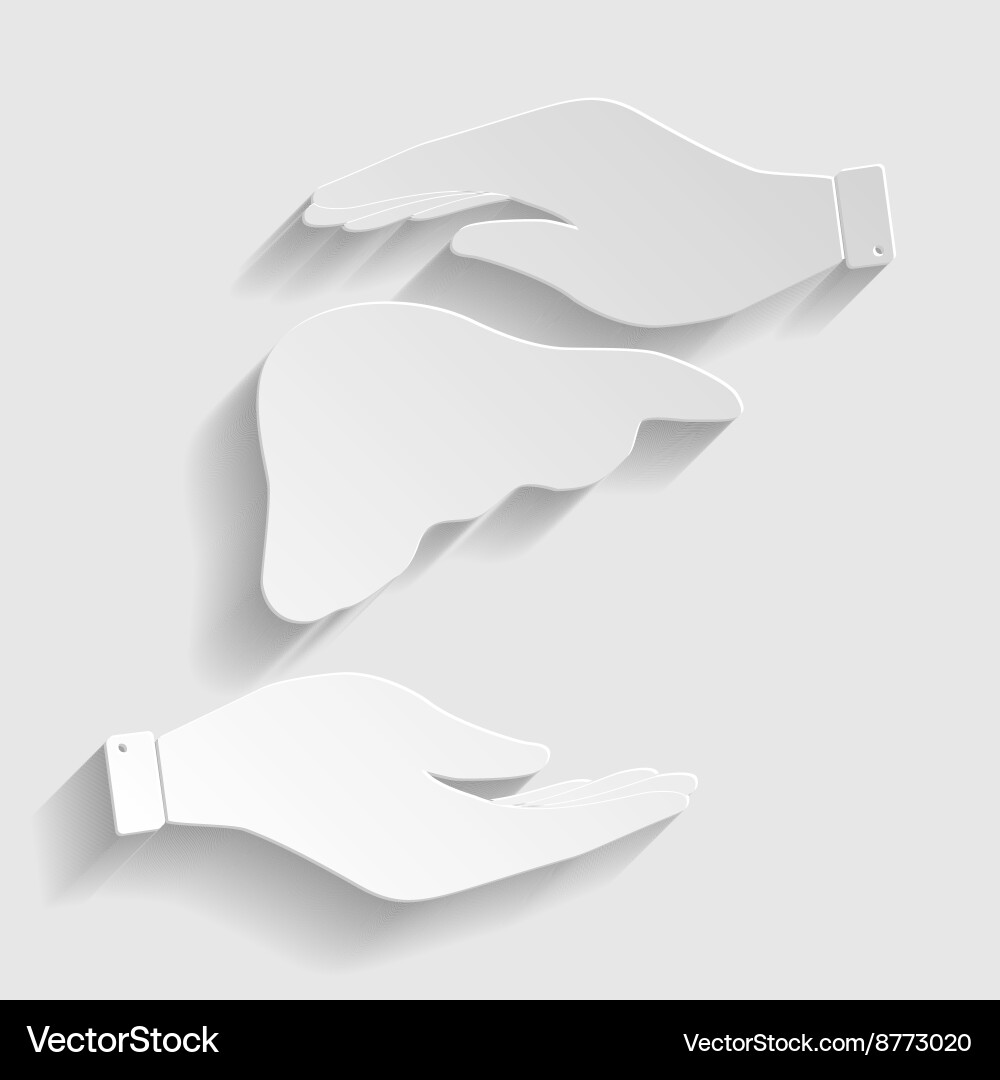 Human anatomy paper style icon Royalty Free Vector Image