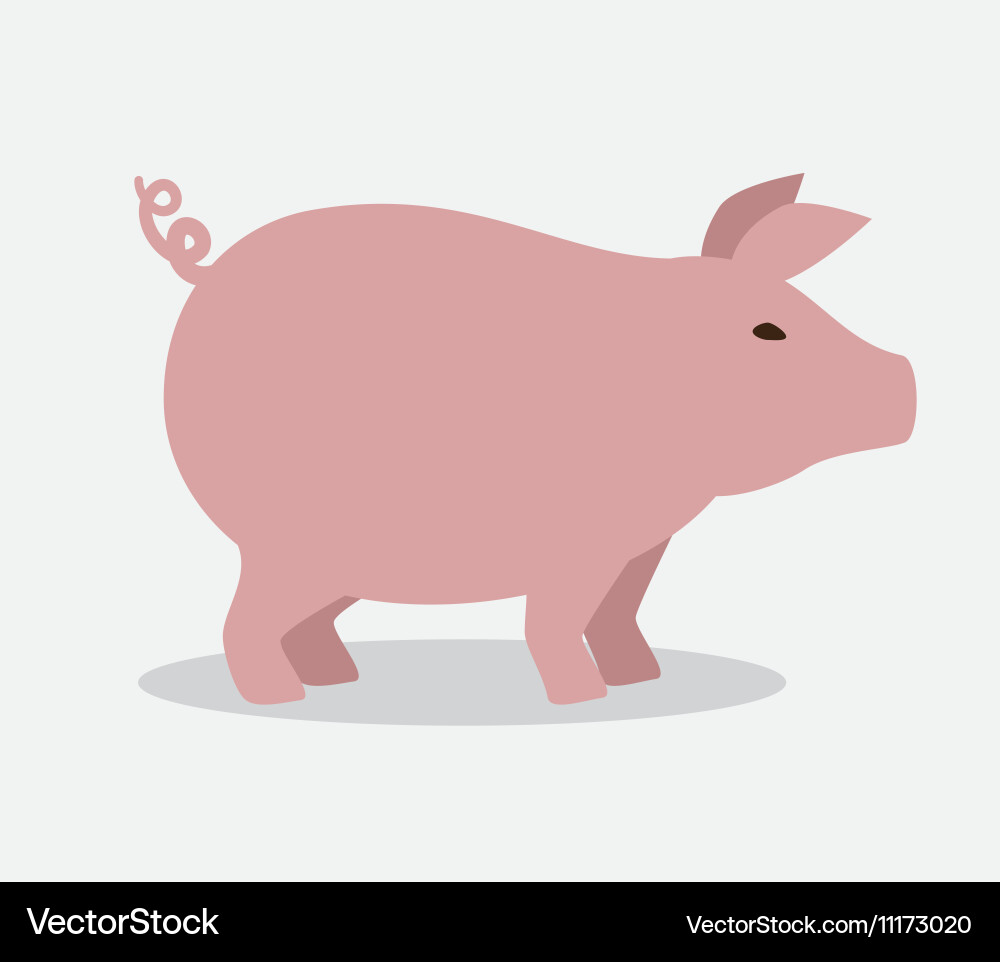 Pig farm animal icon Royalty Free Vector Image