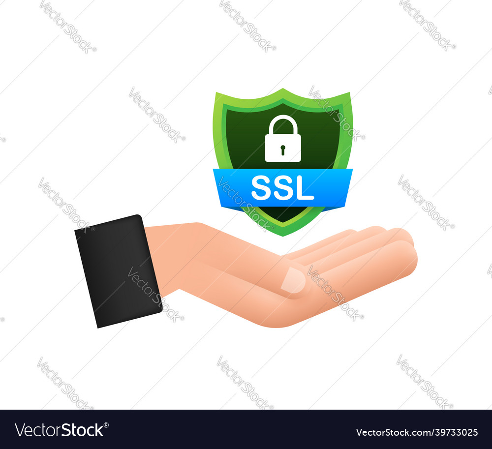 Secure connection icon Royalty Free Vector Image