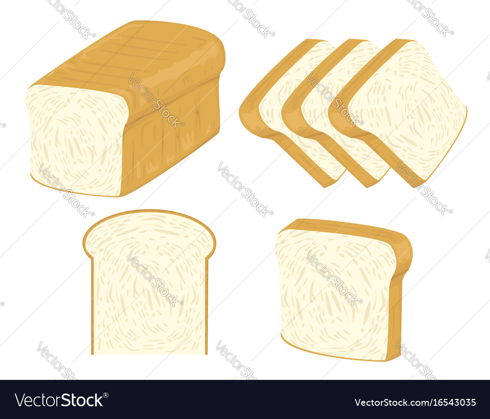 Bread collection Royalty Free Vector Image - VectorStock