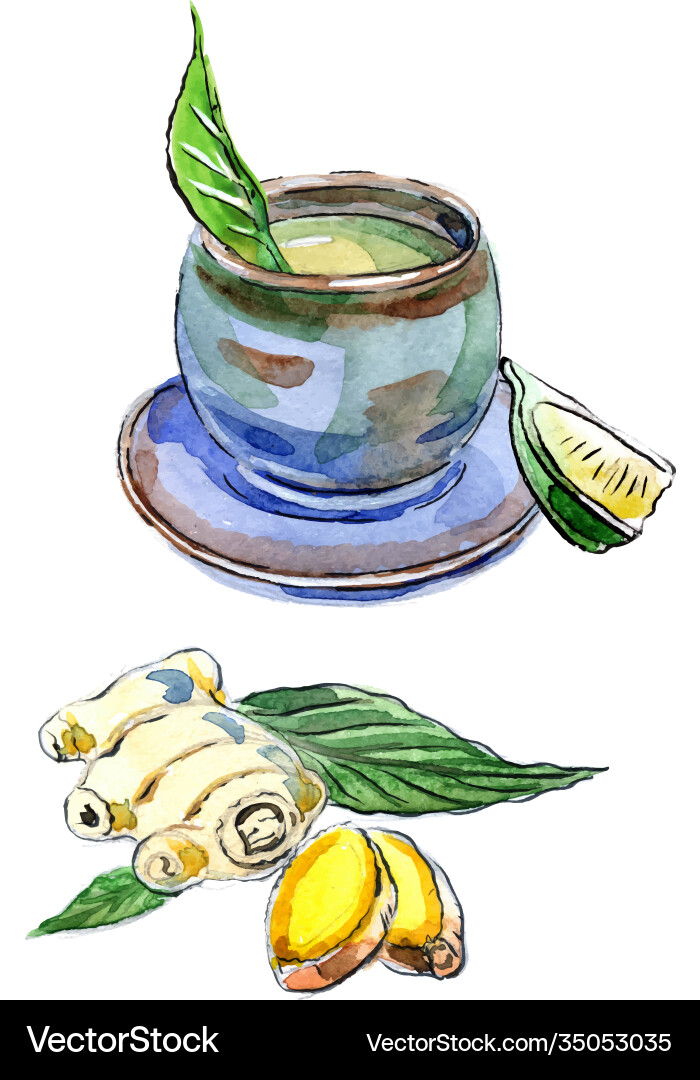 Watercolor tea ginger and lemon Royalty Free Vector Image