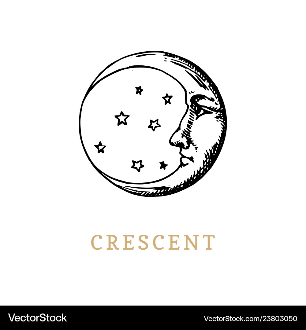 Crescent hand drawn in engraving style Royalty Free Vector