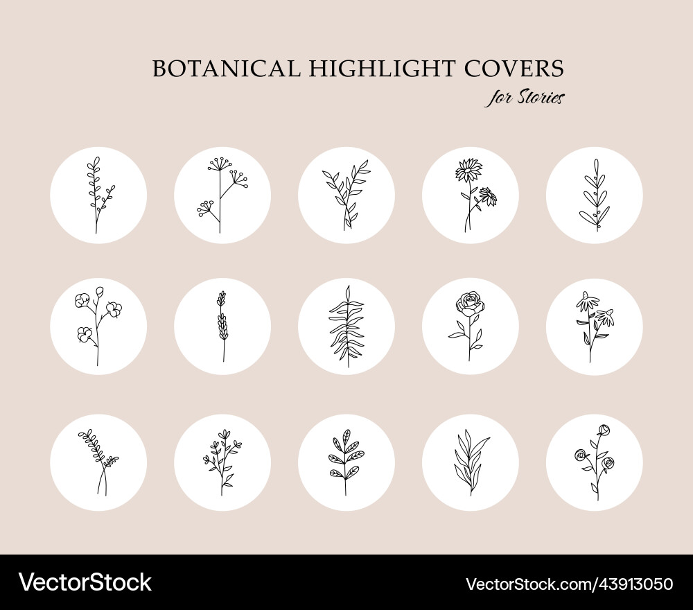 Floral botanical highlight covers minimal Vector Image