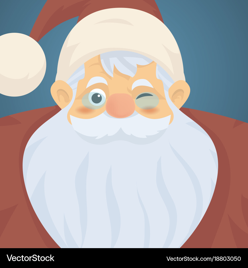 Santa claus close up Royalty Free Vector Image