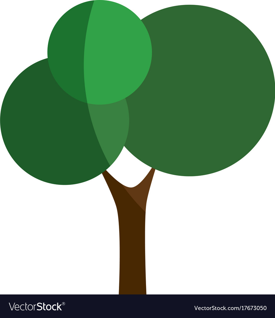 Tree icon image Royalty Free Vector Image - VectorStock
