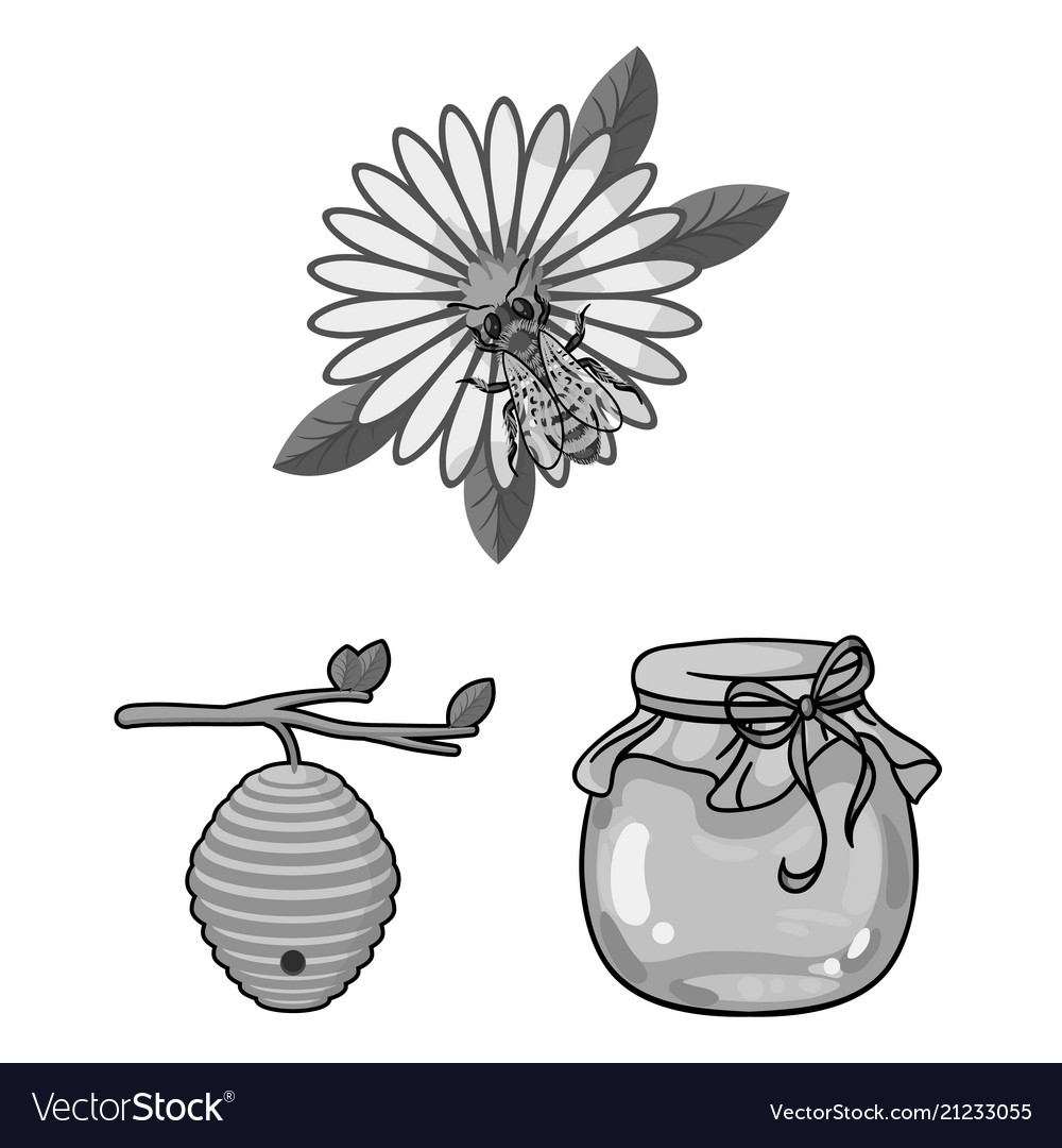Apiary and beekeeping monochrome icons in set Vector Image Apiary and beekeeping monochrome icons in set Vector Image