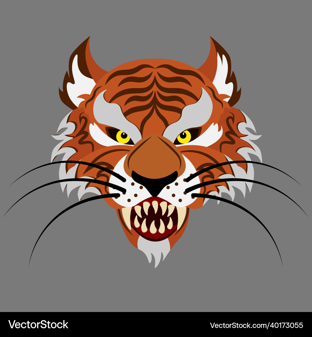 Face of a tiger animals Royalty Free Vector Image