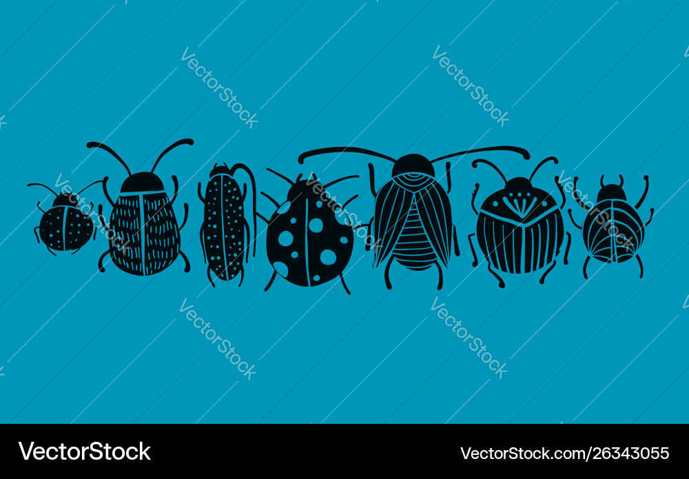 Funny beetles collection for your design Vector Image