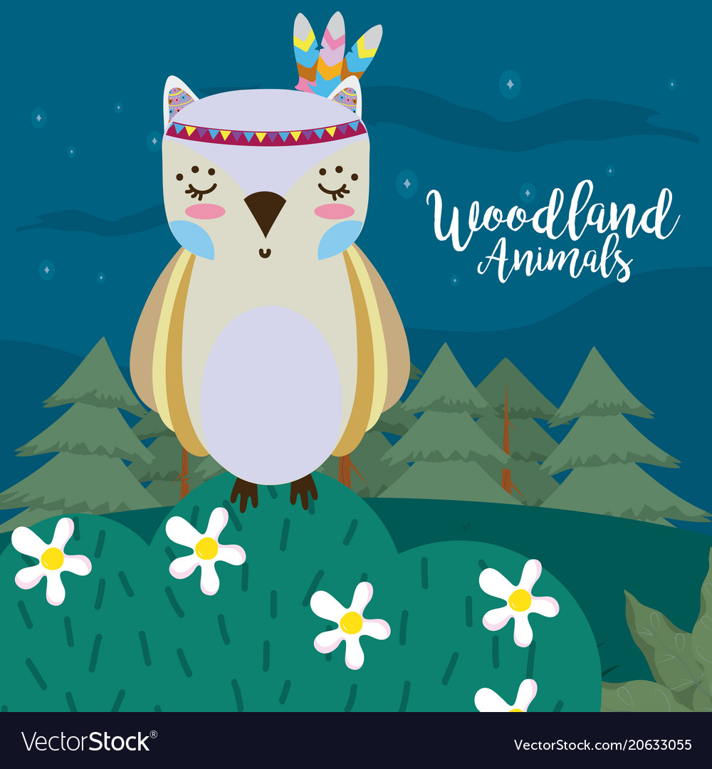 Owl woodland animals Royalty Free Vector Image
