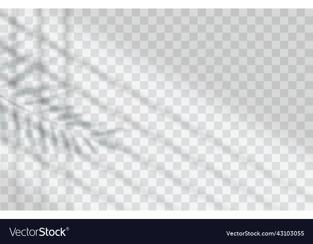 Shadow overlay effect Royalty Free Vector Image