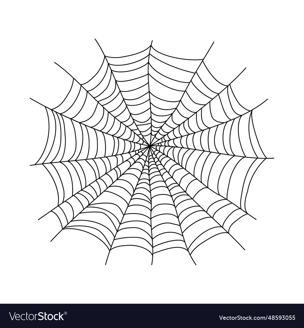 Spider web design element abstract texture Vector Image