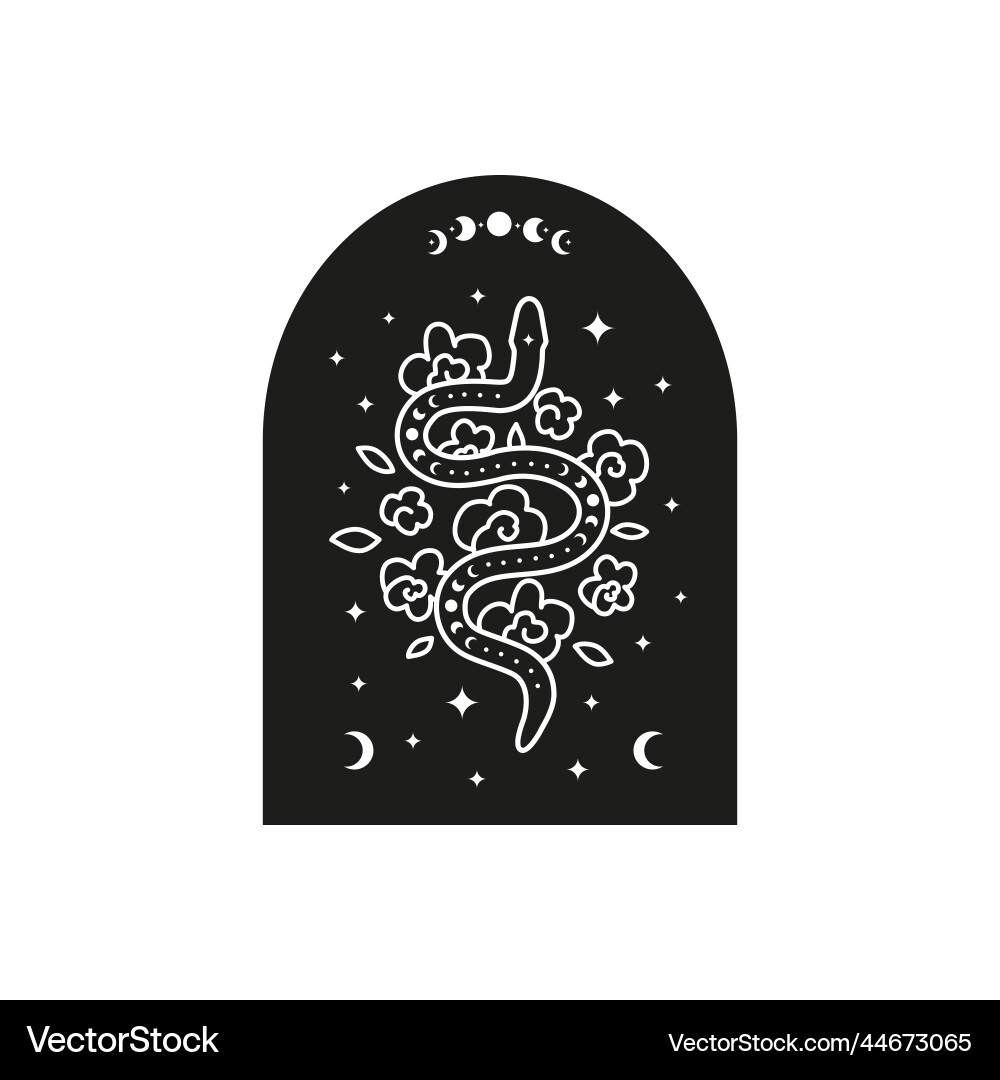 Celestial snake with moon phases flowers leaves Vector Image